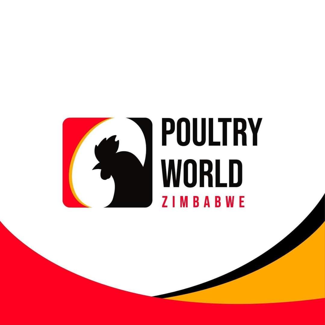 Poultry world Zimbabwe – VC4A