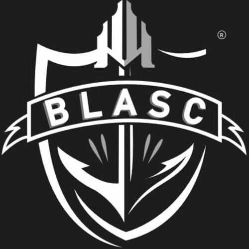 BLASC Academic Hub NPC – VC4A