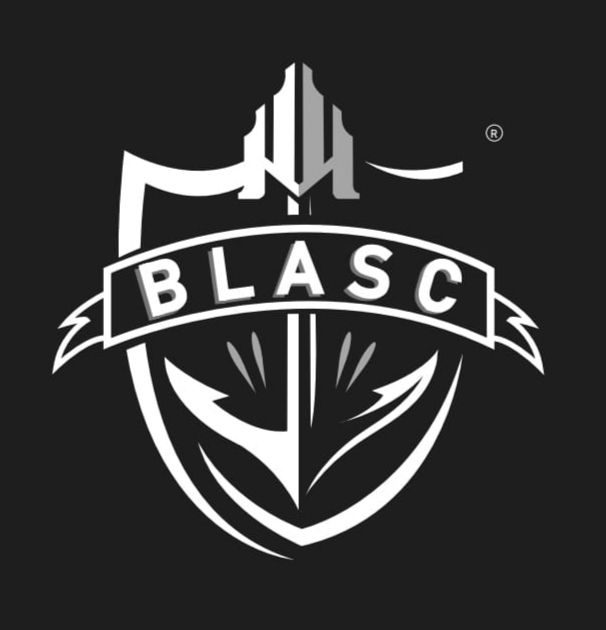 BLASC Academic Hub NPC – VC4A