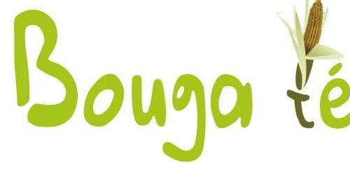 Etablissement Bouga Té AgriServices – VC4A
