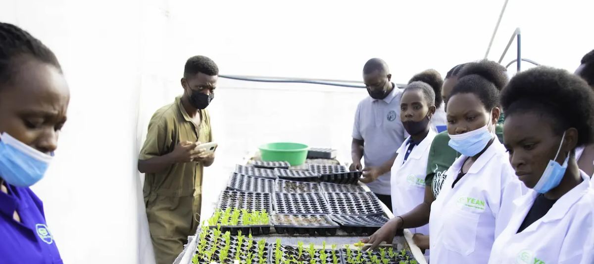 YOUTH Engagement in Agriculture Network – VC4A