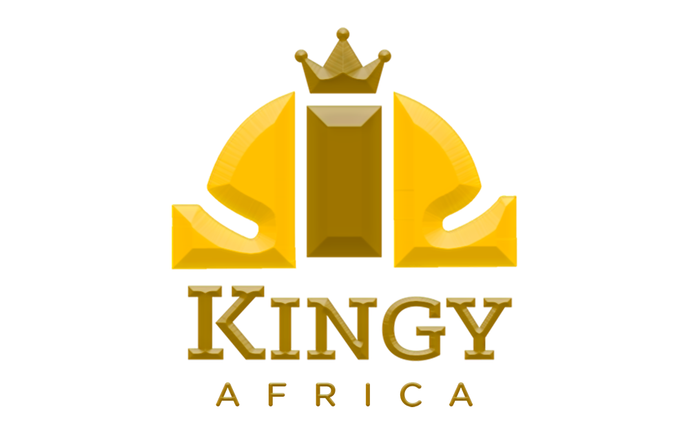 Kingy Africa limited Company – VC4A