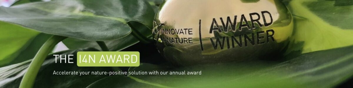 The I4N Award 2025 – VC4A