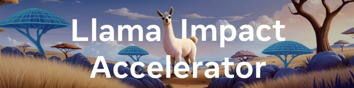 Llama Impact Accelerator – VC4A