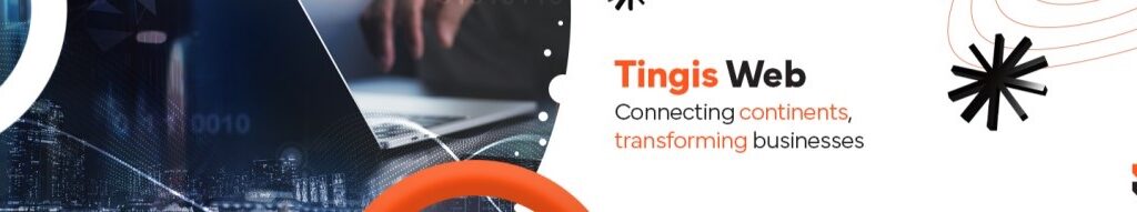 Tingis Web – CX & Technology – VC4A