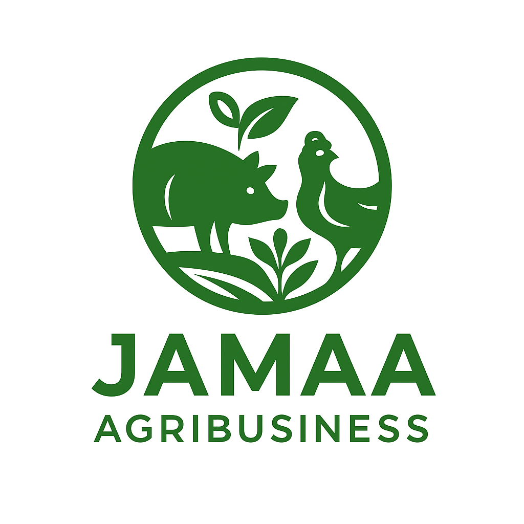 Jamaa Agribusiness – VC4A
